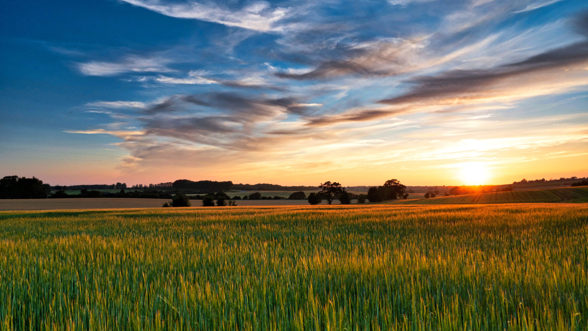 2024 Farming Conference: Change & Opportunity | Scrutton Bland