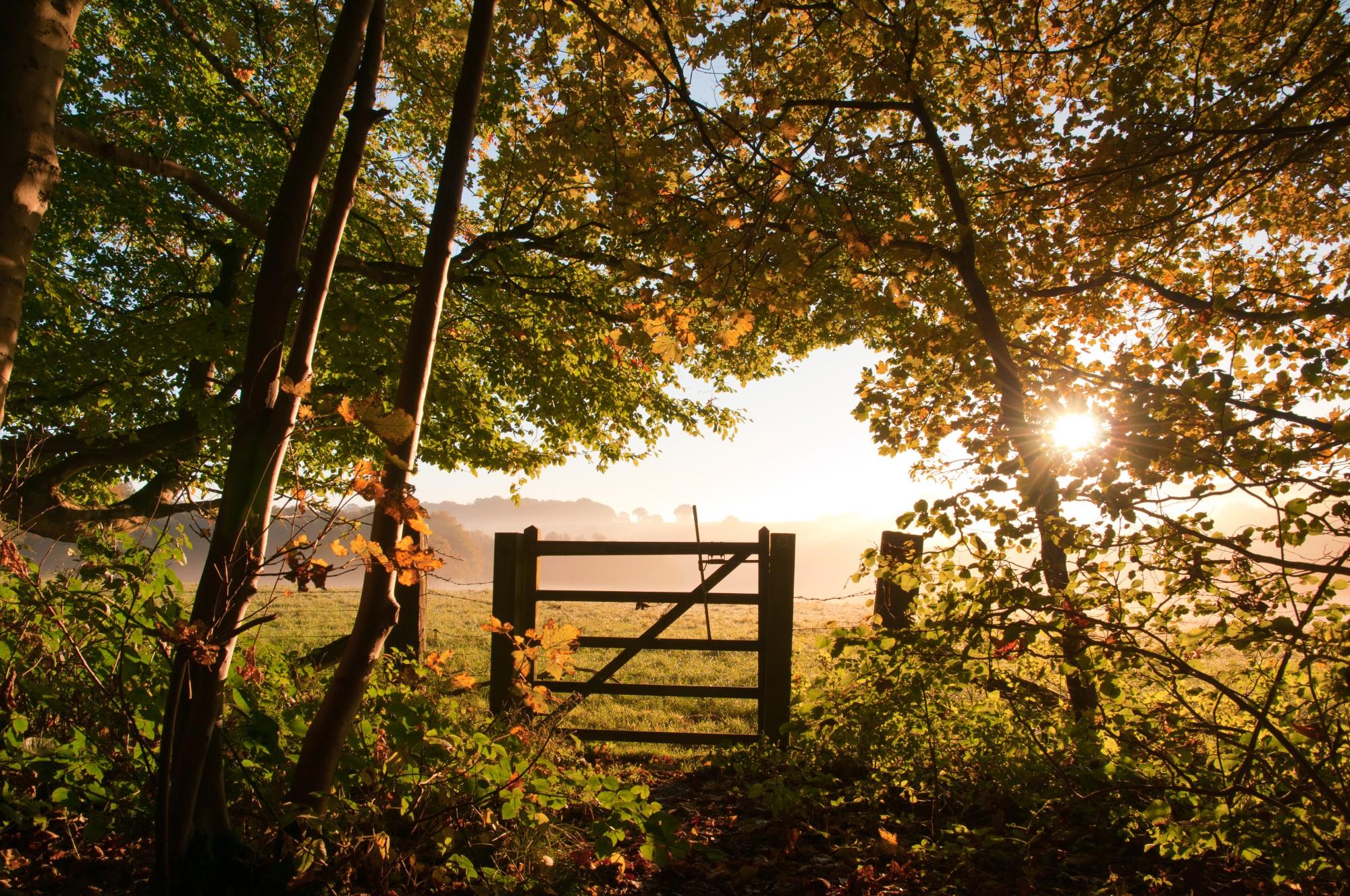 Private Client Newsletter Autumn 2025 | Scrutton Bland